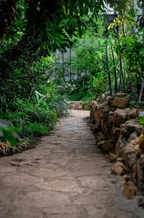 How To Landscape With Rocks & Stone: Using Rocks In Landscaping